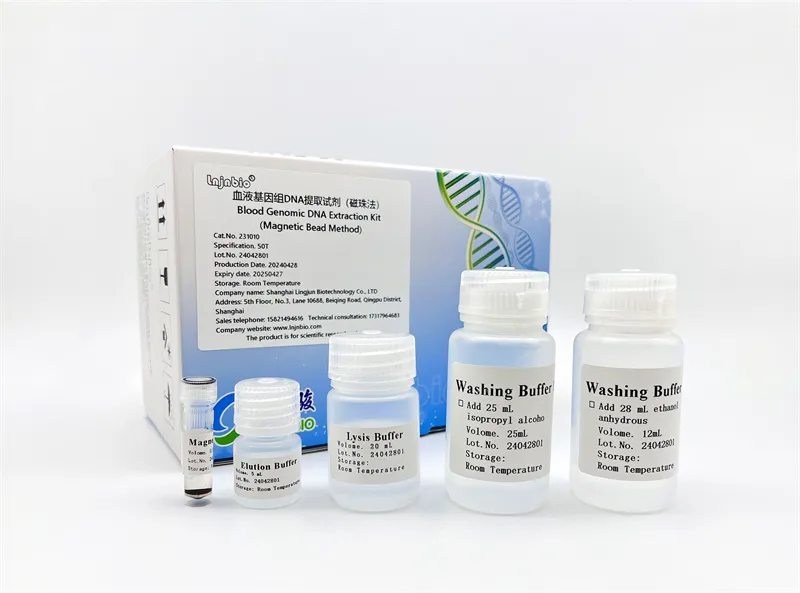 Lnjnbio Magnetic Beads for Blood Genomic DNA Extraction Kit (Magnetic ...