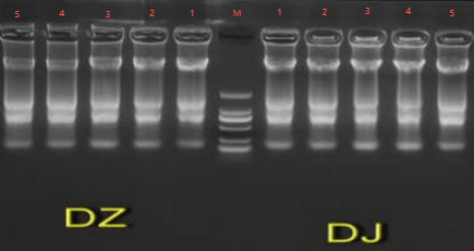 LnjnBio 160014 磁気ビーズ，Unleashing the Limitless Potential of Life Science ...